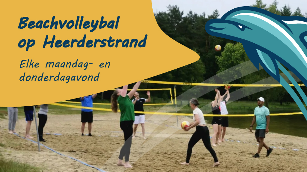 Dolfijn Beachvolleybal - Training op hoog niveau